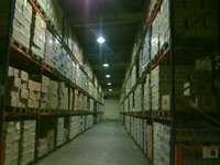 Energy Saving Light- T5 Electronic Ballast Fluorescent Lamp